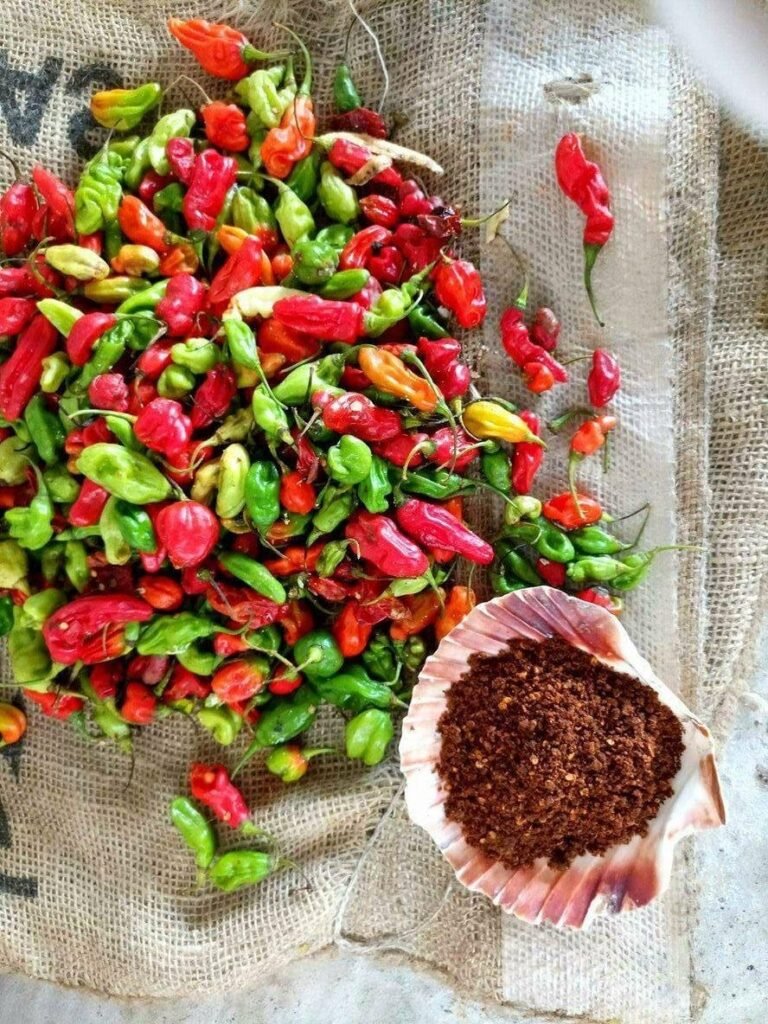 19 épices magiques d’Afrique centrale et d’Afrique de l’ouest ! - Okedjenou